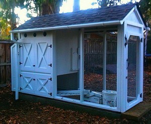 Chicken Coop Ideas - Designs And Layouts For Your Backyard Chickens