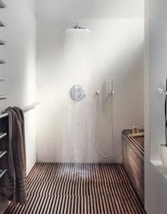 30 Unique Shower Designs & Layout Ideas
