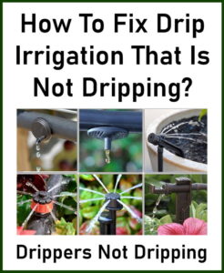 How To Fix Irrigation Drippers That Aren't Dripping?